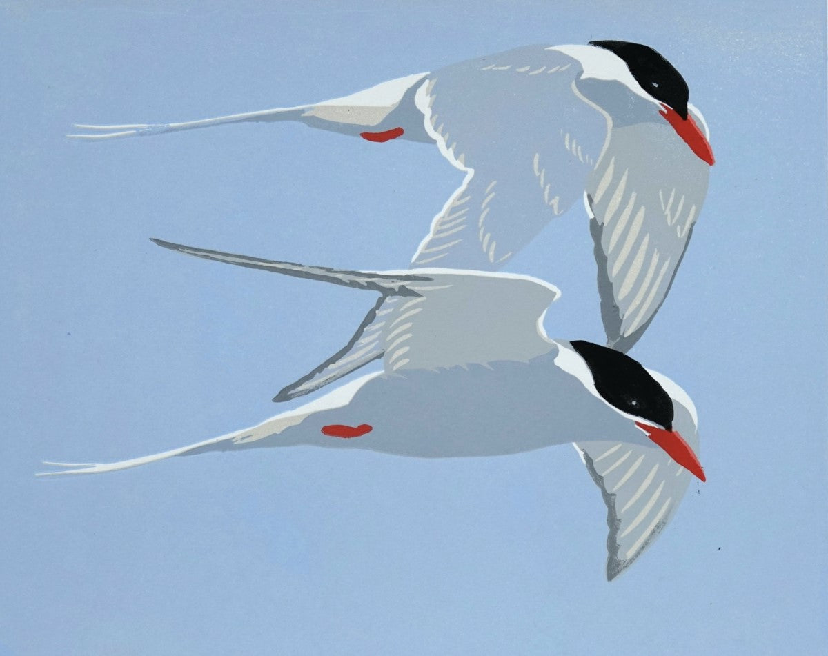 Arctic Flight – The SOC