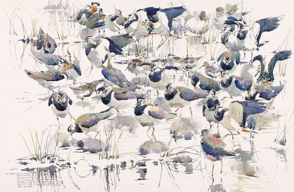 Lapwing group – The SOC